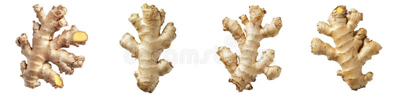 Ginger Root Isolated on White Background, Clipping Path, Depth of Field ...