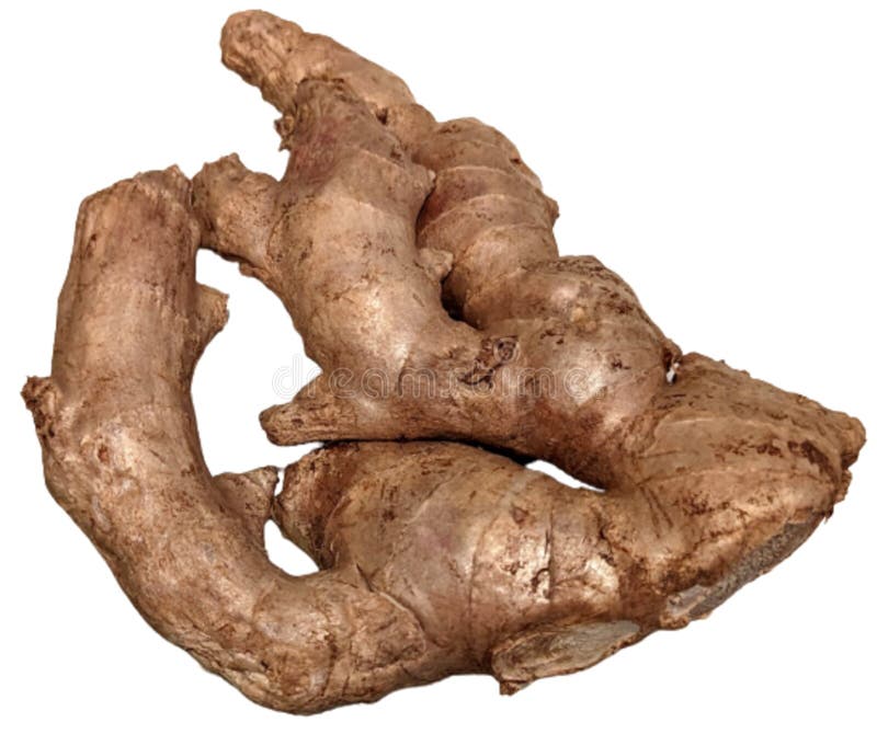 Ginger root stock image. Image of snack, dessert, vegetable - 273379249