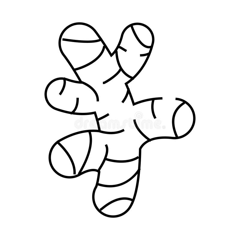 Chicken Root and Powder Top View Vector Sketch Illustration Stock ...