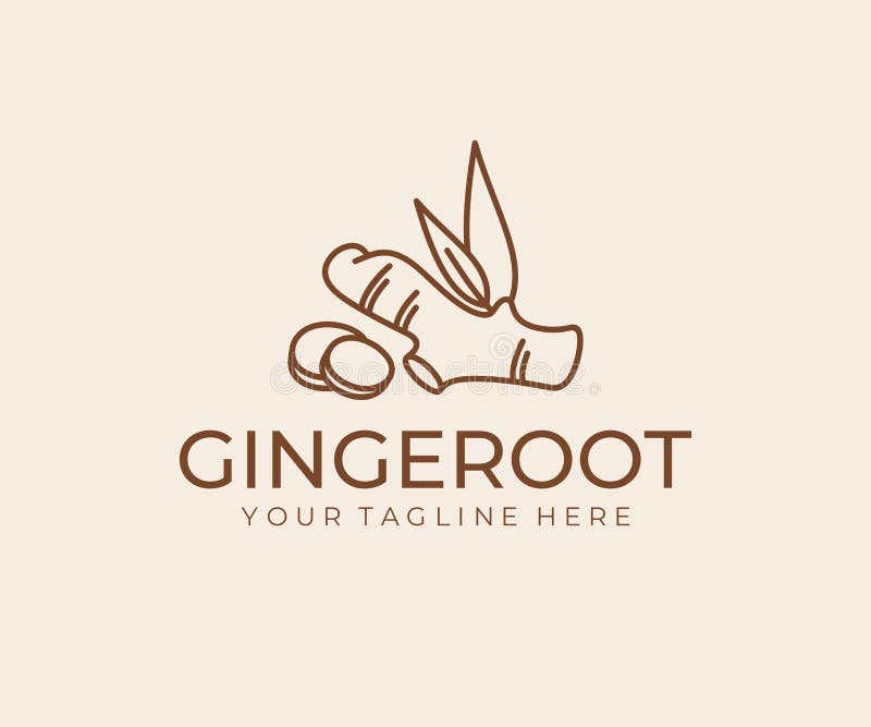 Ginger Root Logo Design. Herbal Spice Vector Design Stock Vector ...