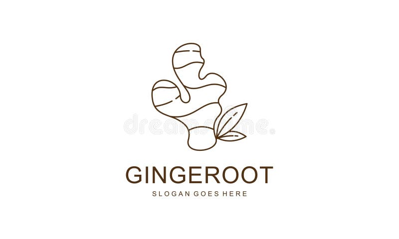 Ginger Root Logo Design. Herbal Spice Vector Isolated on White ...