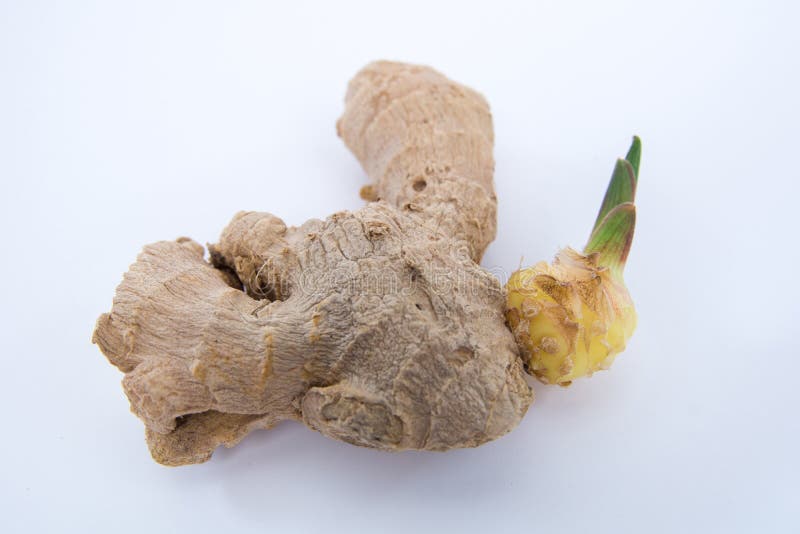 Aeroponics stock image. Image of crops, moisture, fertilizer - 55008013