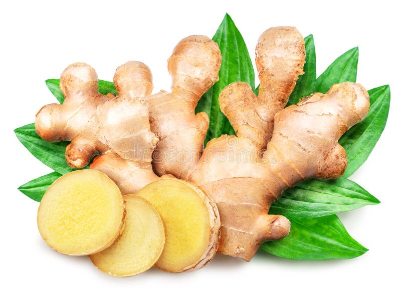 Ginger Root and Round Slices of Ginger Root on Green Leaves Isolated on ...