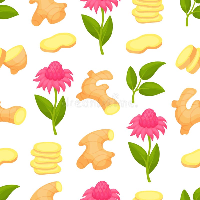 Gingers Slices Stock Illustrations – 10 Gingers Slices Stock ...