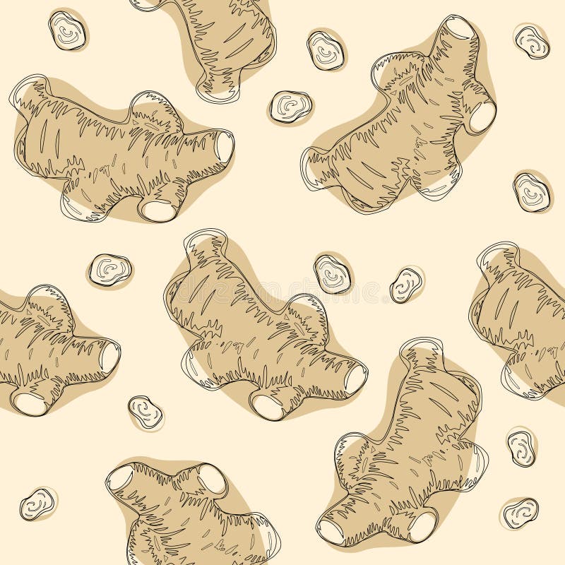 Ginger Root Seamless Pattern. Hand Drawn Vector Illustration Stock ... Ginger Root Seamless Pattern. Hand Drawn Vector Illustration Stock ...