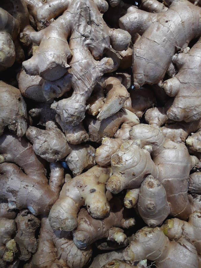 Ginger Root stock photo. Image of aromatic, fresh, heap - 99822366