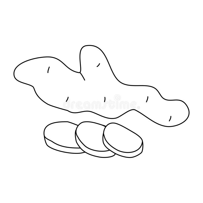 Ginger Root with Slices, Doodle Style Flat Vector Outline for Coloring ...