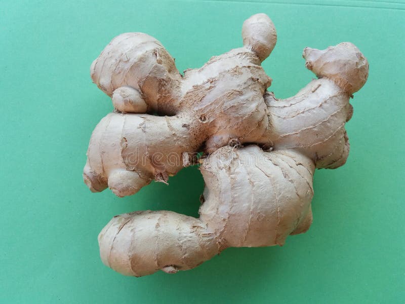 Ginger root vegetable stock image. Image of vegetarian - 88789225