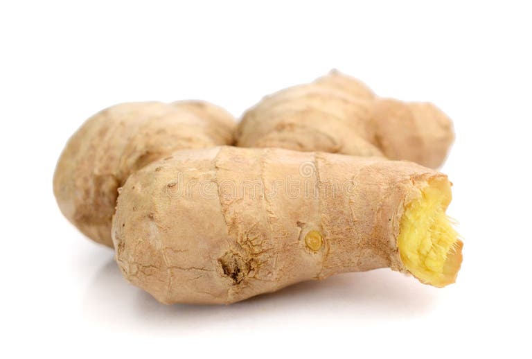 Ginger stock photo. Image of starch, long, tree, drug - 94291430