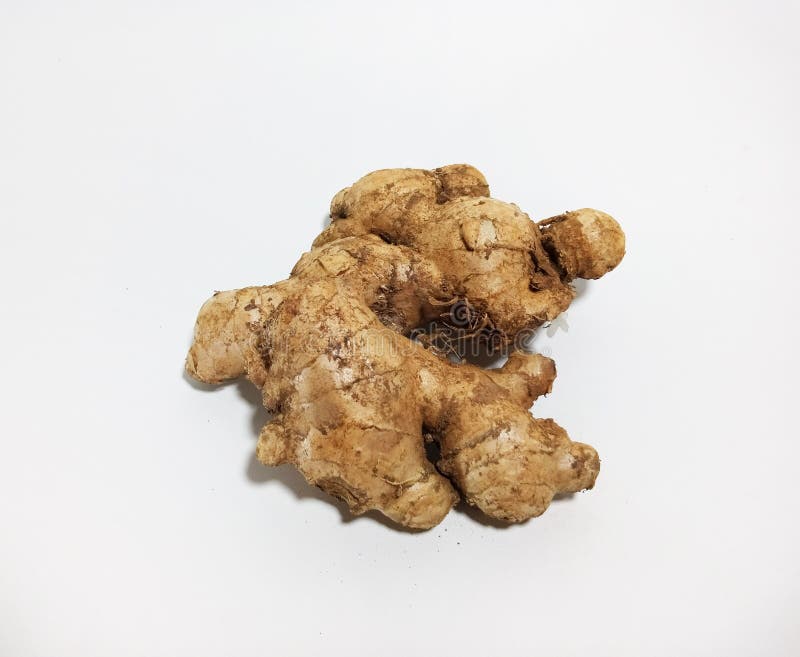 343 Giant Ginger Stock Photos - Free & Royalty-Free Stock Photos from ...