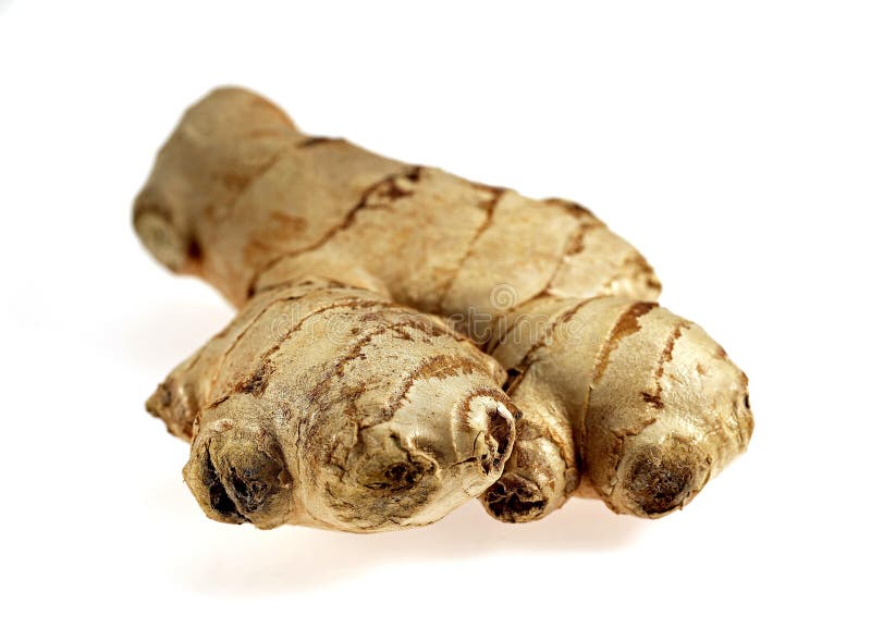 GINGER ROOT Zingiber Officinale Stock Photo - Image of zingiber ...