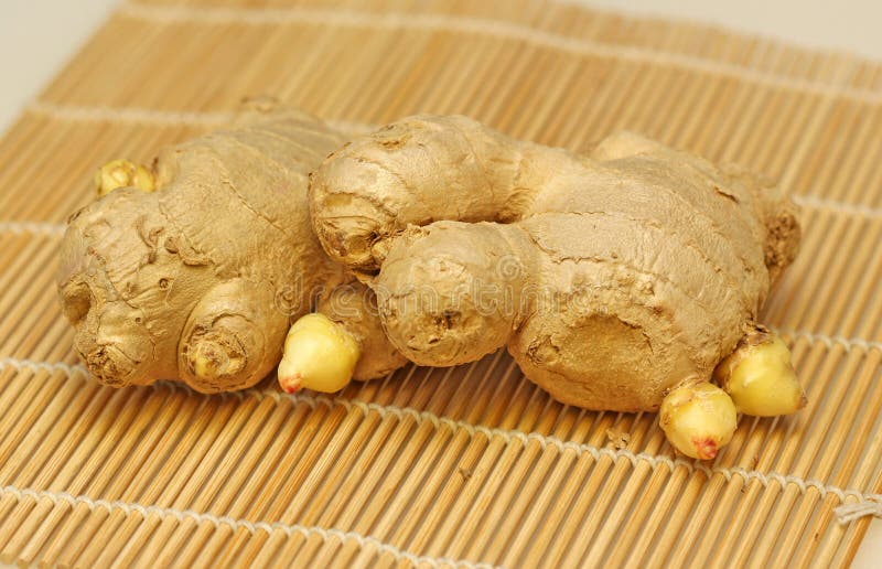 First-aid kit stock photo. Image of rescue, medical, white - 19413098