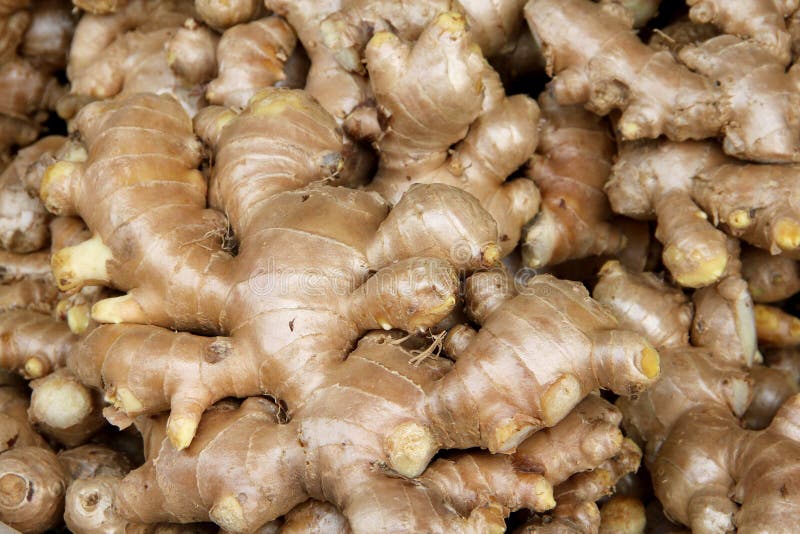 Ginger roots stock image. Image of asian, spice, herbal - 29479445