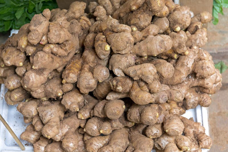 Ginger Roots stock image. Image of farmers, china, market - 157865963