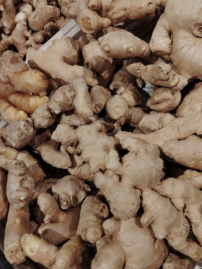 Ginger are Shown in a Close-up View. Stock Photo - Image of mushroom ...
