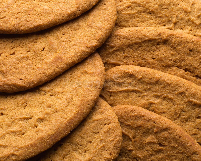 Ginger Snap Cookies stock photo. Image of crunchy, gingerbread - 231494070