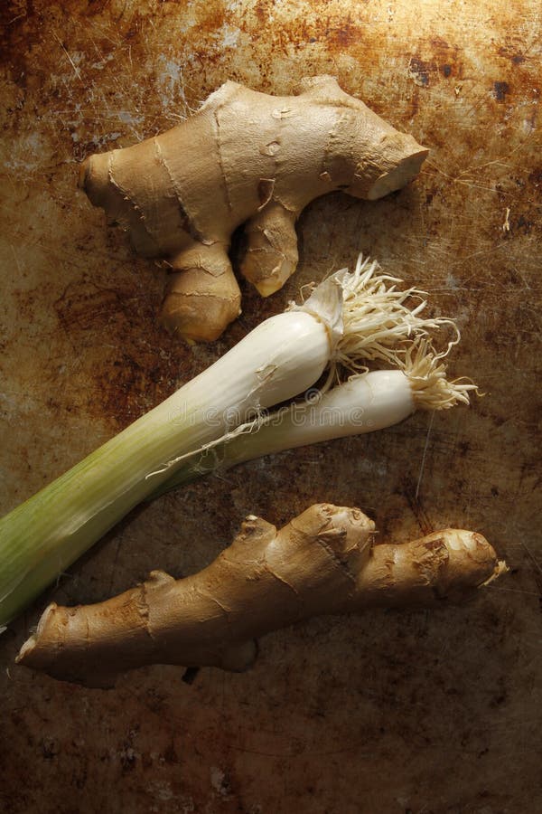 Ginger and spring onion stock image. Image of medicine - 44368193
