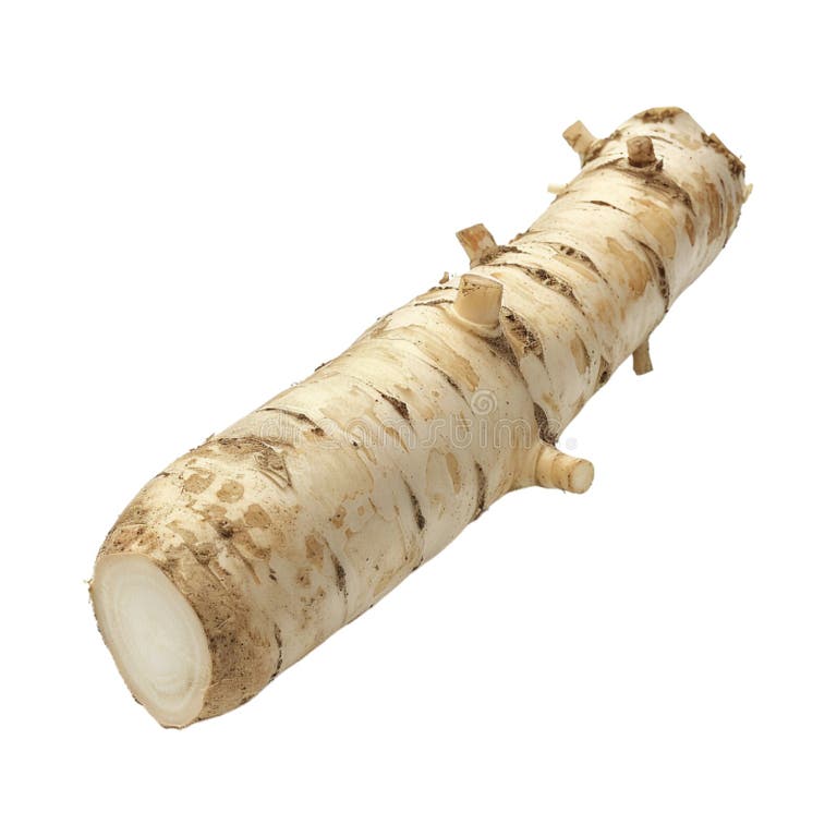 Ginger Stick on Transparent Background - Ai Generated Stock ...