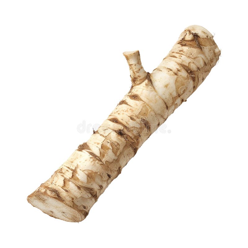 Ginger Stick on Transparent Background - Ai Generated Stock ...