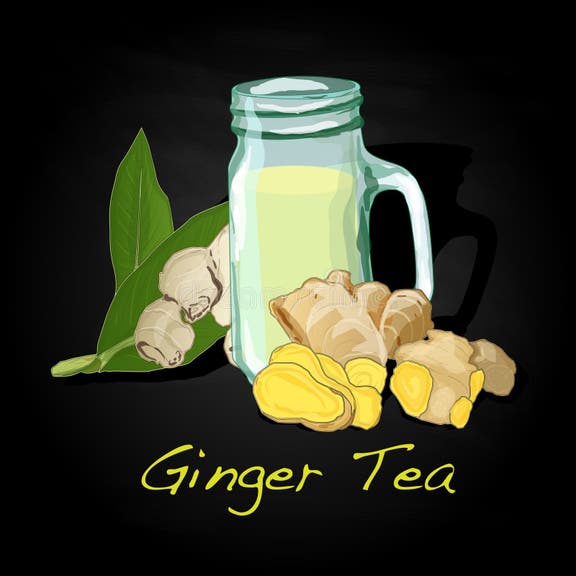 Ginger Tea Vector Illustration Stock Vector - Illustration of white ...