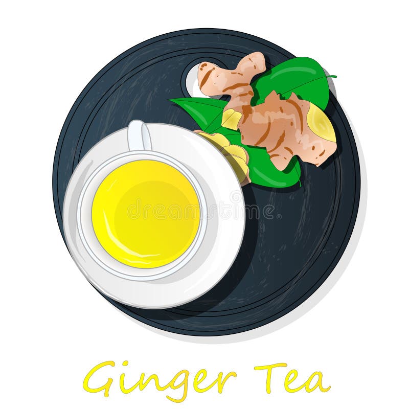 Ginger Tea Vector Illustration Stock Vector - Illustration of nature ...