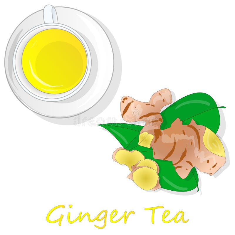Ginger Tea Vector Illustration Isolated Set Top View Stock Vector ...