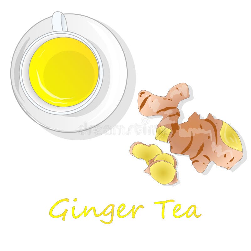 Ginger Tea Vector Illustration Stock Vector - Illustration of white ...
