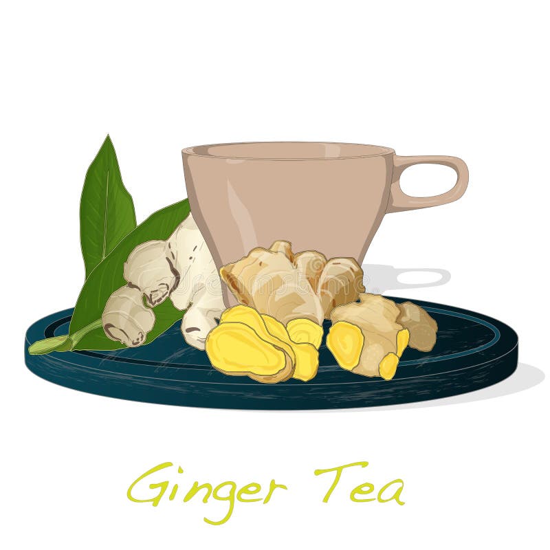 Ginger Tea Vector Illustration Isolated Set Top View Stock Vector ...