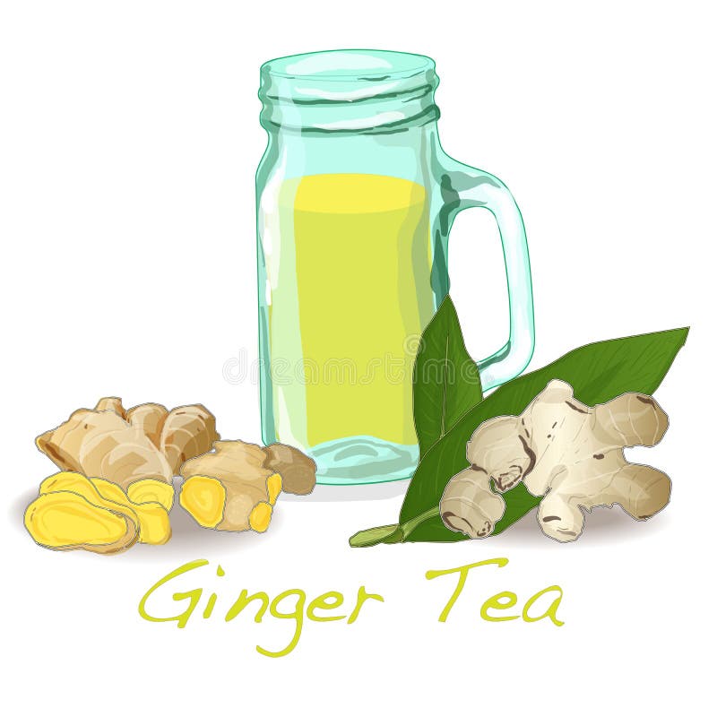 Ginger Tea Vector Illustration Stock Vector - Illustration of nature ...