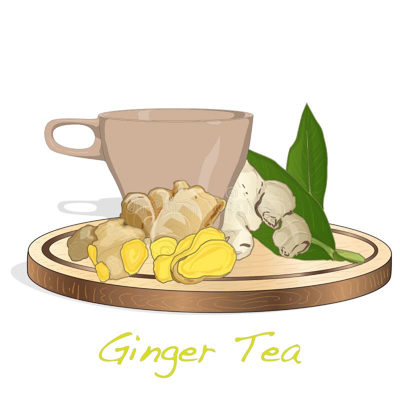 Ginger Tea Vector Illustration Isolated Set Top View Stock Vector ...