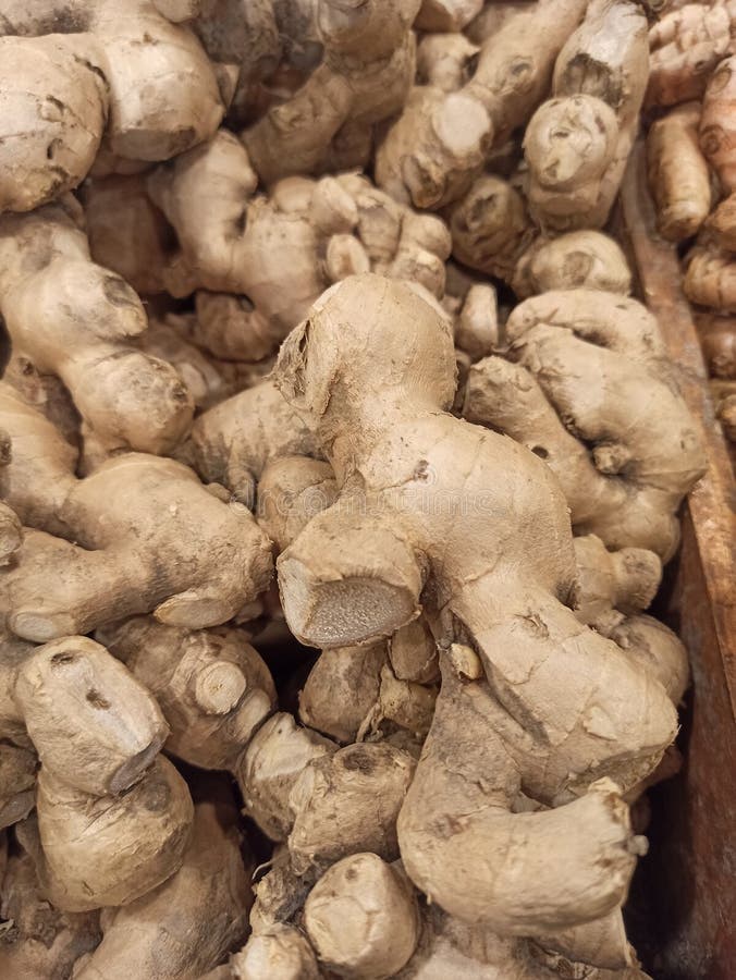 Ginger for Traditional Drink Stock Image - Image of traditional, fungus ...