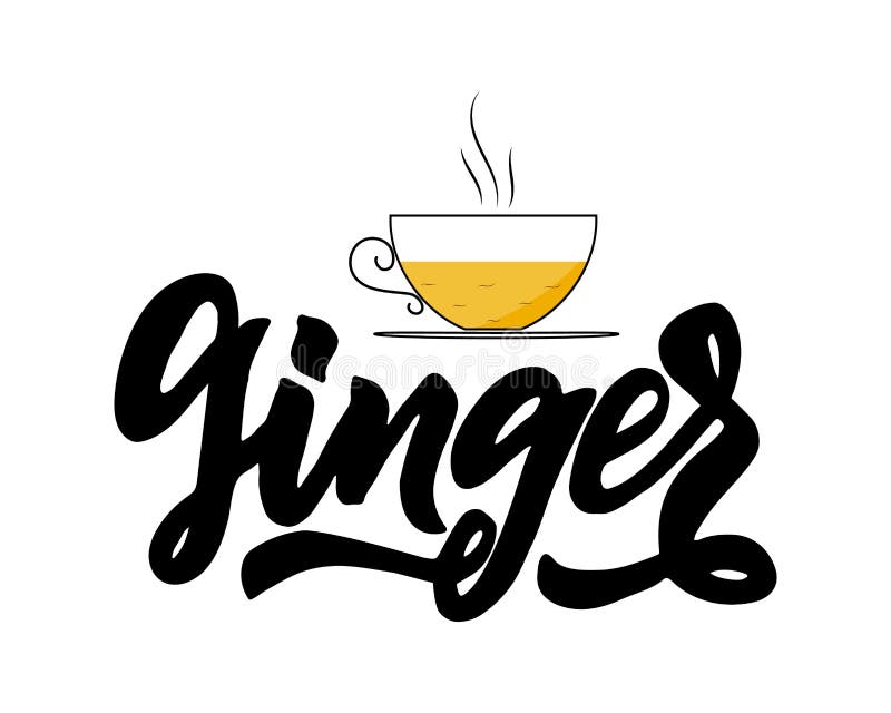 Ginger Type of Tea with Cup. Hand Calligraphy Lettering. Vector ...