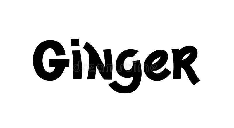 Ginger Spices. Cooking Ingredient. Line Icon. Editable Stroke Size ...