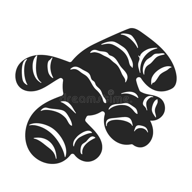 Ginger Vector Icon.Black Vector Icon Isolated on White Background ...