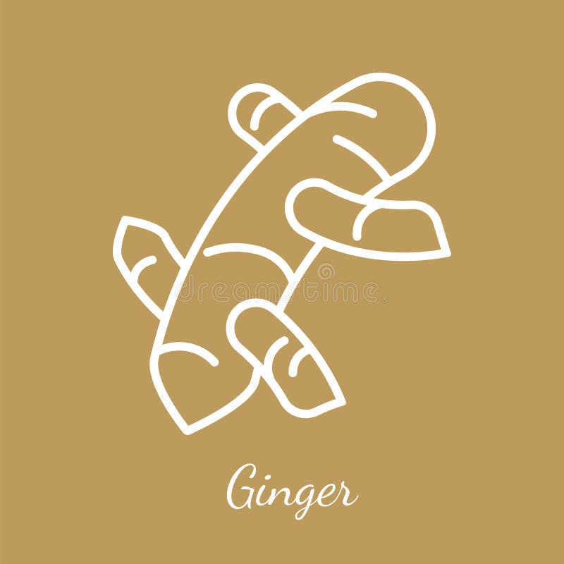 Ginger Icon In Trendy Design Style. Ginger Icon Isolated On White ...