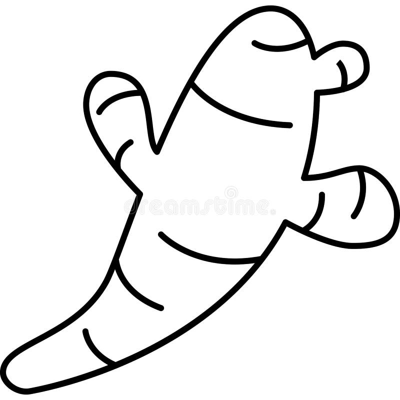 Ginger Outline. Isolated Ginger on White Background Stock Vector ...