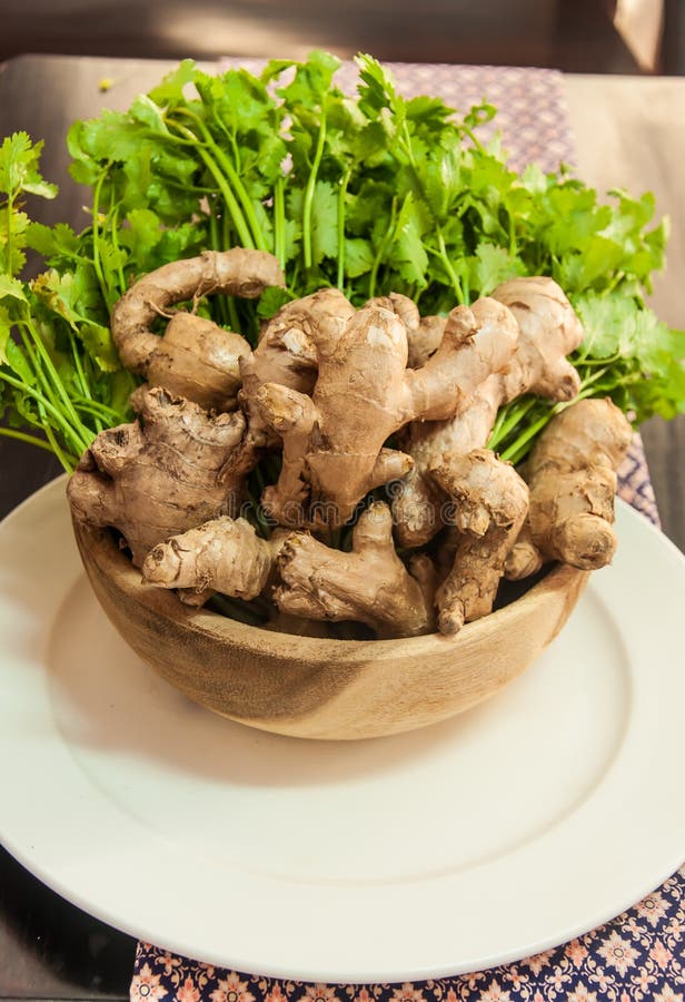 Ginger stock image. Image of rustic, seasoning, ginger - 66660495