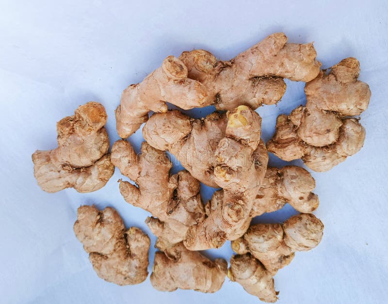 Ginger on White Background Group of Ginger Stock Image - Image of ...