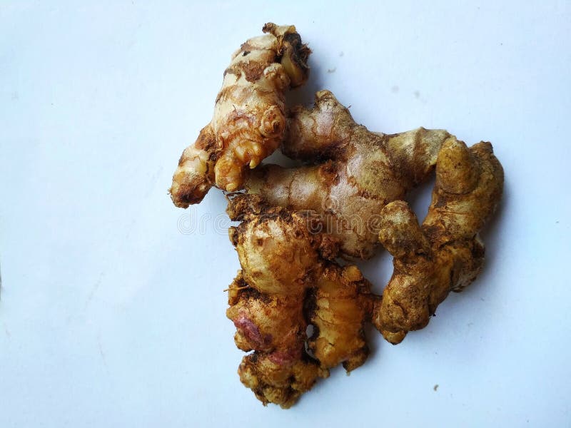 Ginger White. Ginger Isolated White Stock Image - Image of macro ...