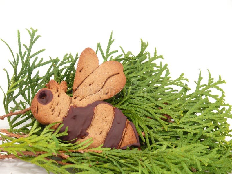 Gingerbread stock image. Image of gingerbread, biscuits - 22422755