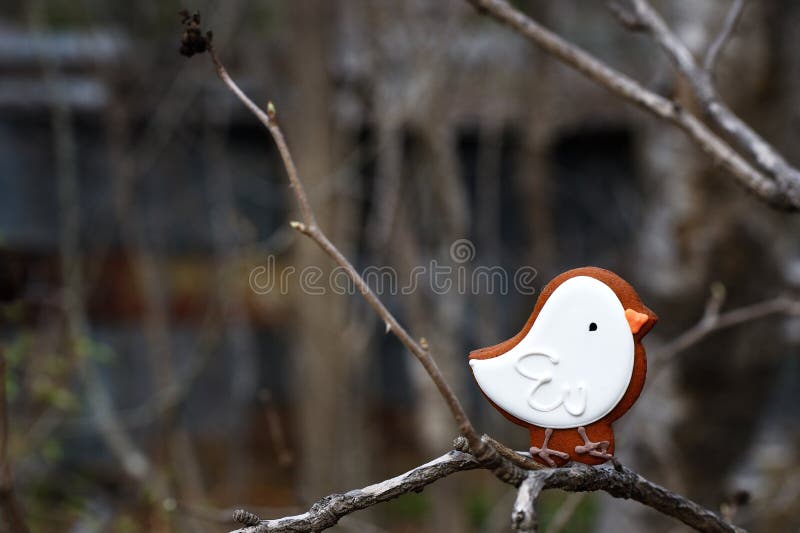 Gingerbread bird stock photo. Image of biology, brown - 95213024