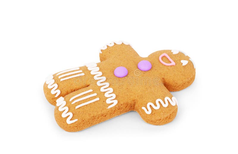 Gingerbread Classic Cookie Hero Isolated Stock Image - Image of ...