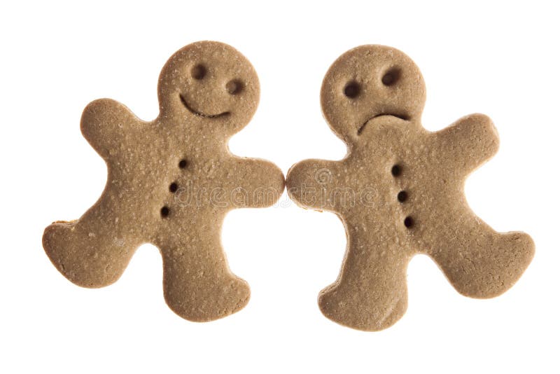 Undecorated Gingerbread Man Stock Image - Image of clean, full: 6399989