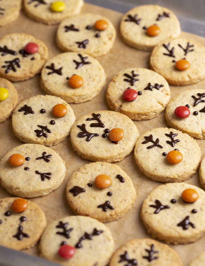 Gingerbread deer rudolph stock image. Image of decorated - 234282129