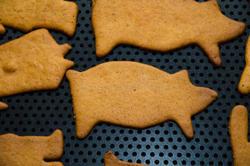 Gingerbread pig figure stock photo. Image of seasonal - 64296020