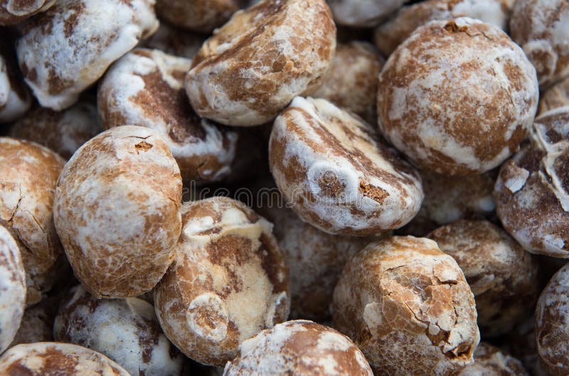 Romanian Traditional Bread Baked in Wood Oven Stock Photo - Image of ...