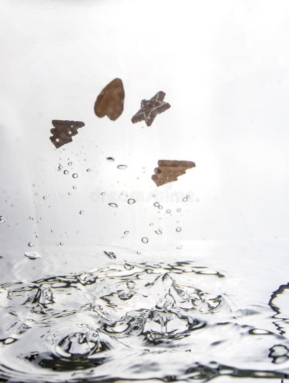 Gingerbread water splash stock photo. Image of icing - 105352890
