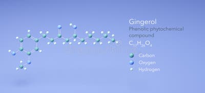 Gingerol Molecule, Molecular Structures, Phenolic Phytochemical ...