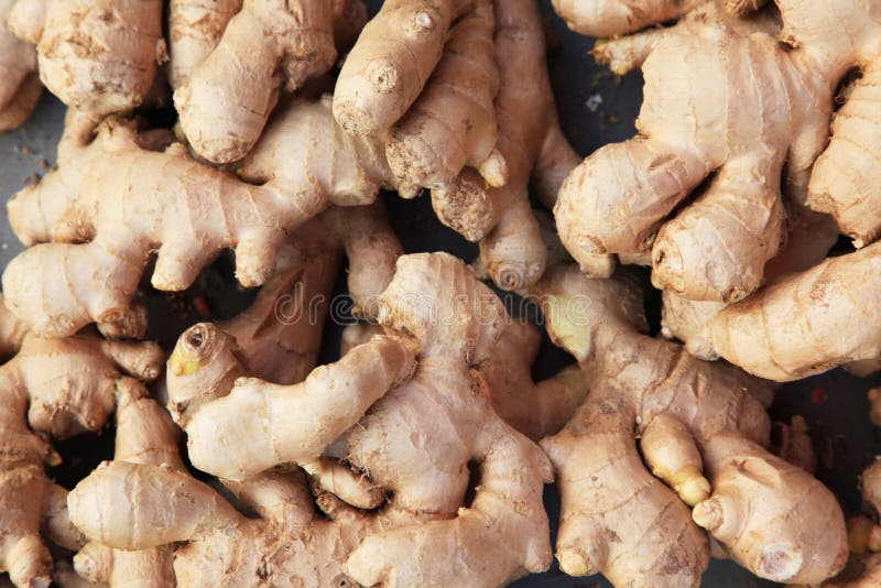 Gingers stock image. Image of medicine, vegetable, isolated - 11944029