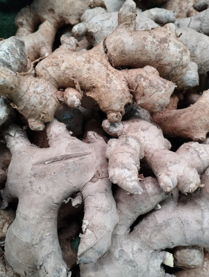 The Gingers in Traditional Markets Stock Image - Image of ginger, food ...